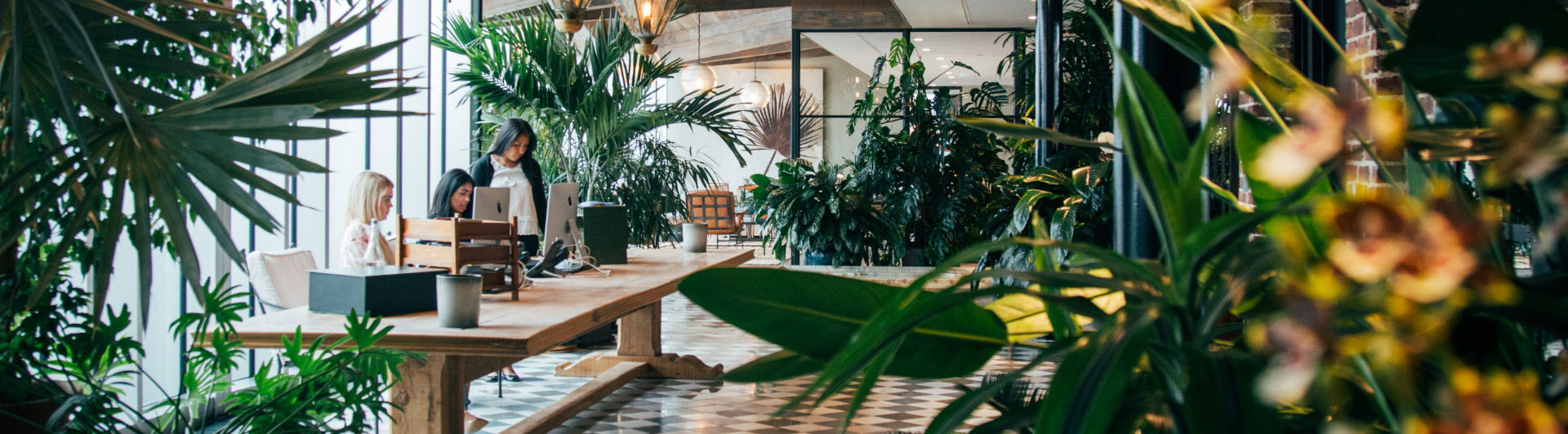 Contact - Marshall Wace